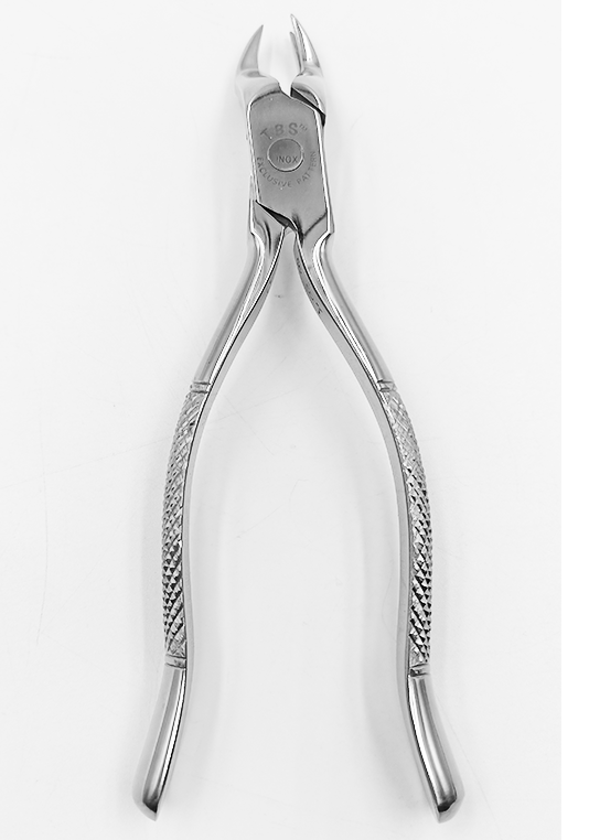 Forceps 88R de extracción para molares superiores derecho ...