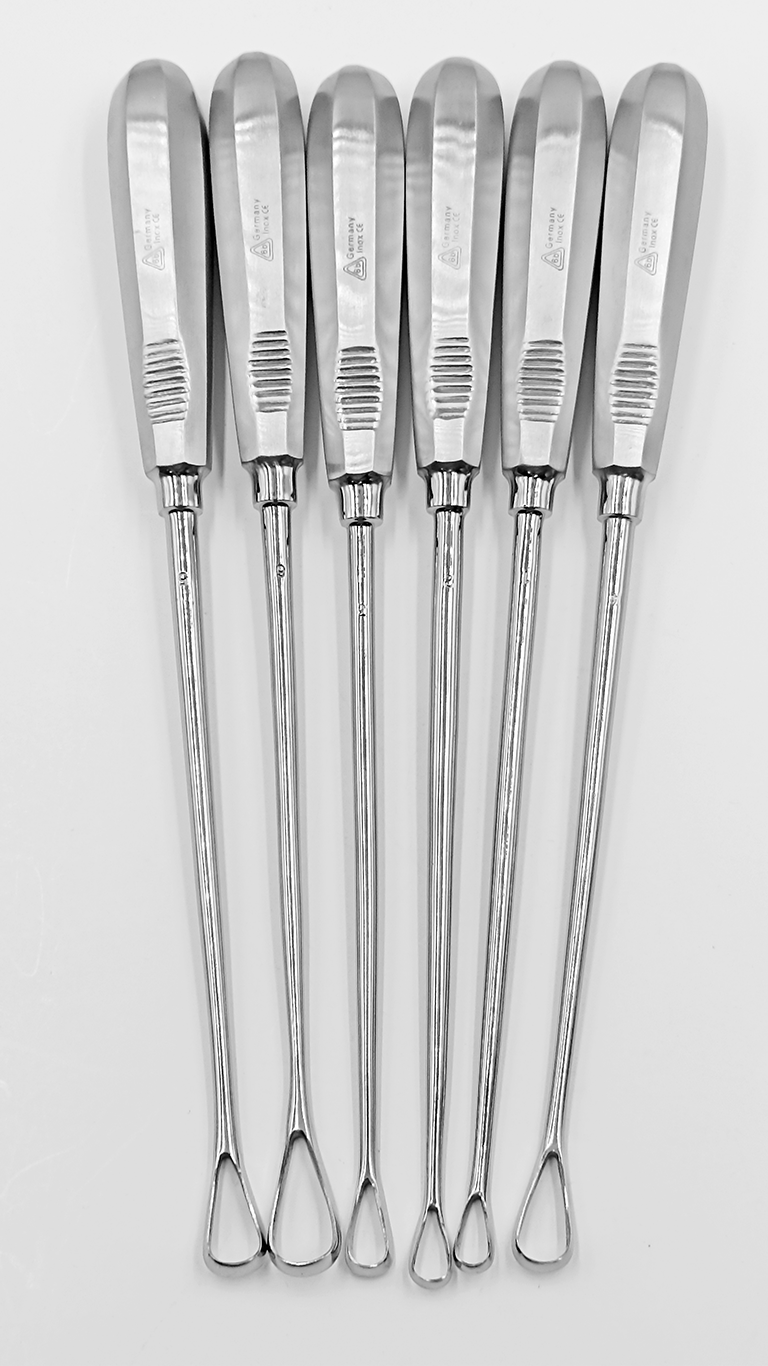 Cucharilla cortante sims juego de 6 – Distribuidora Sta María